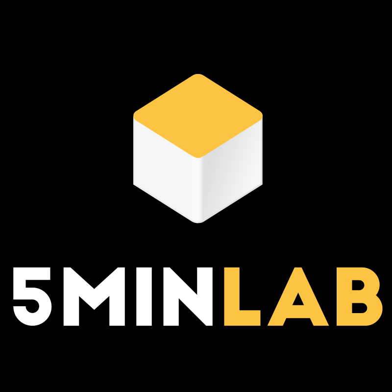 5minlab - WholesGame