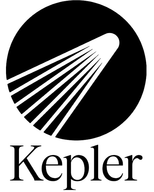 Kepler Interactive raises $120 million - WholesGame