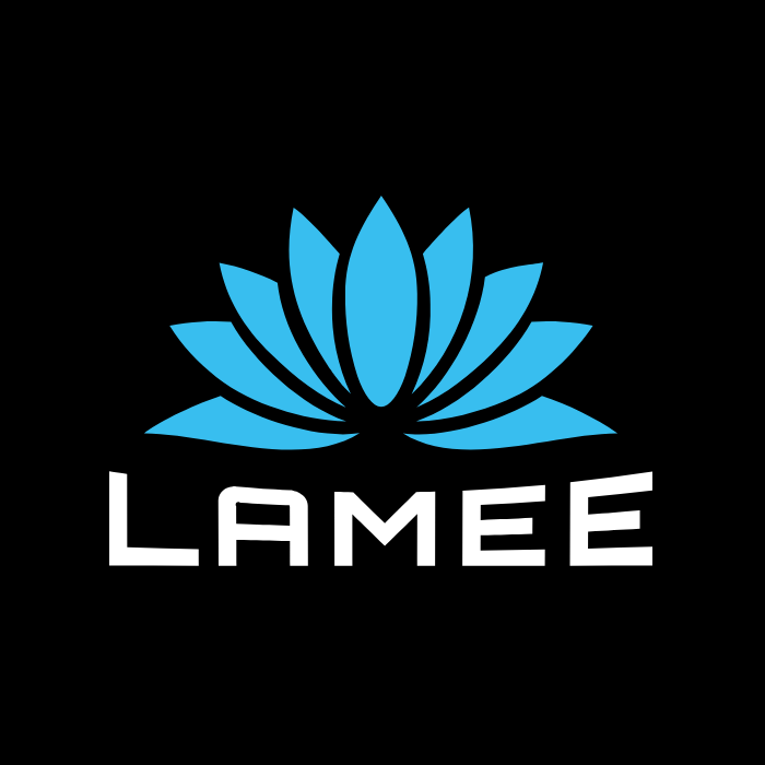 Lamee Software S.L. - WholesGame