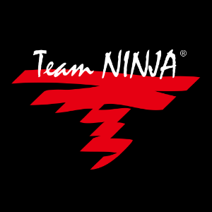 Team Ninja - WholesGame