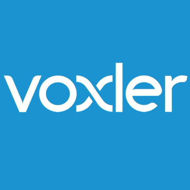 Voxler - WholesGame